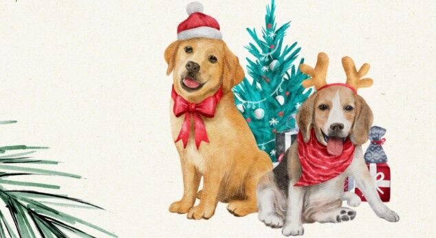 Alva Fire Department